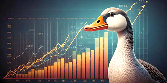 Data Science Project Selection